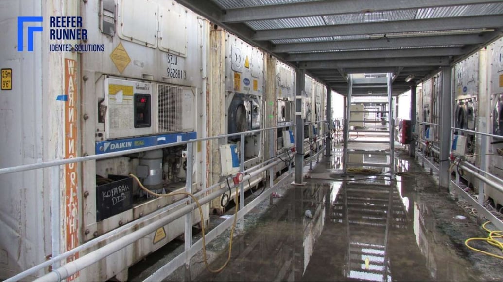 101 Reefer Container: Everything you need to know