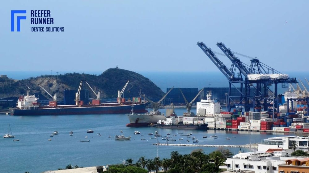 50 Container terminals worldwide: Reefer Runner in Saudi Arabia