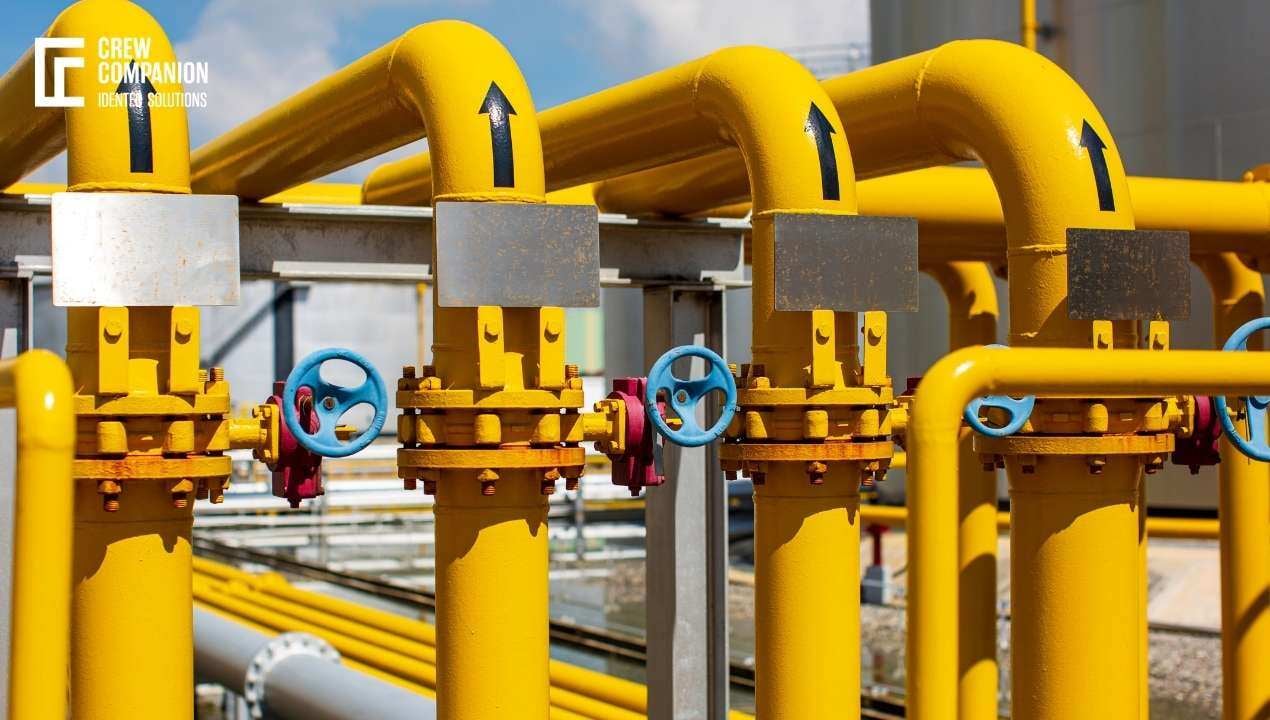 FLNG Vessels: The Future of Offshore Gas