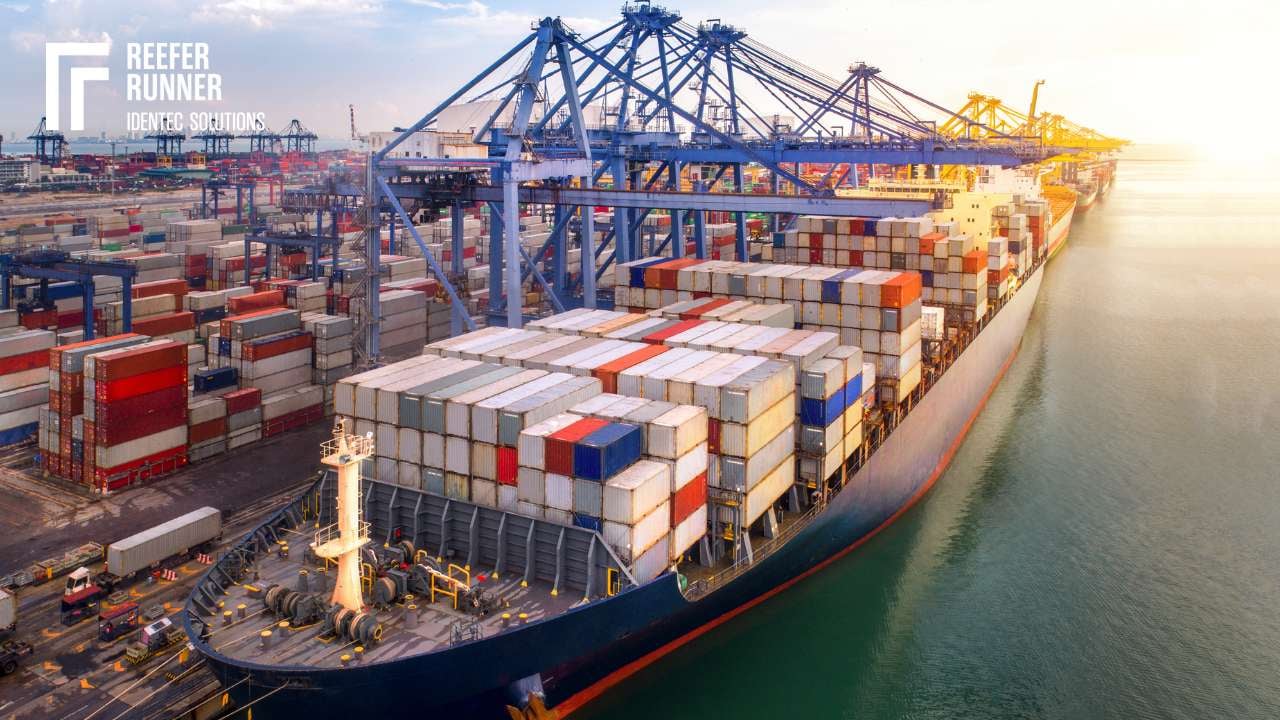 101 Reefer Container: Everything you need to know