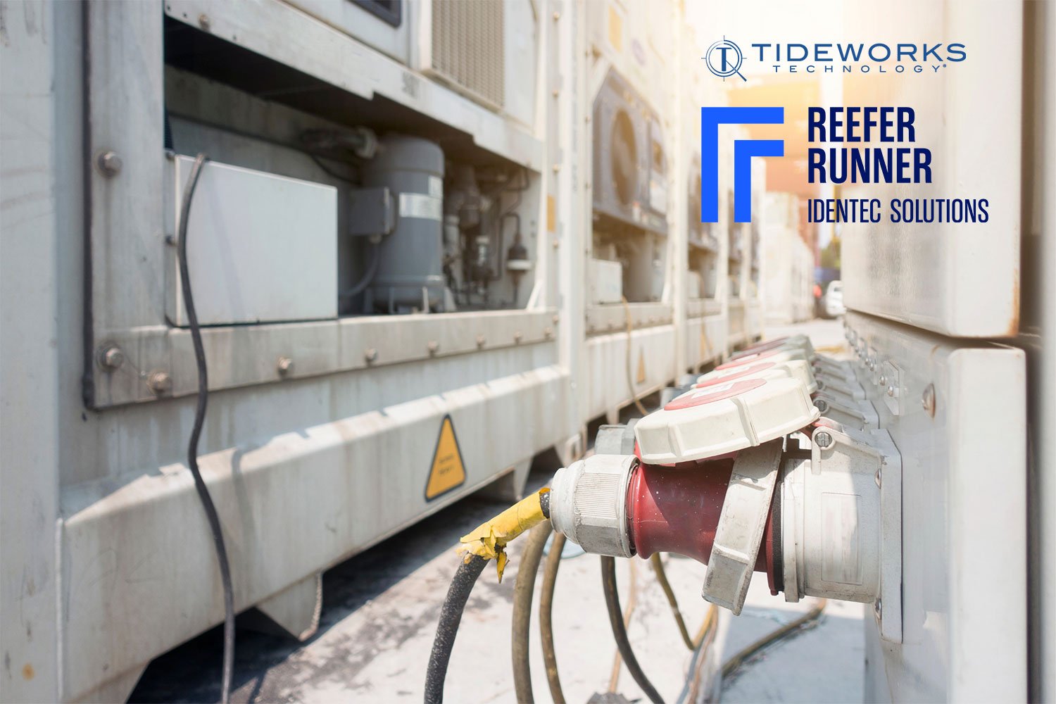 Automated reefer logistics in ports