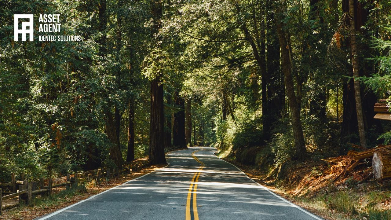 What sustainable development goals drive the tyre industry forward?